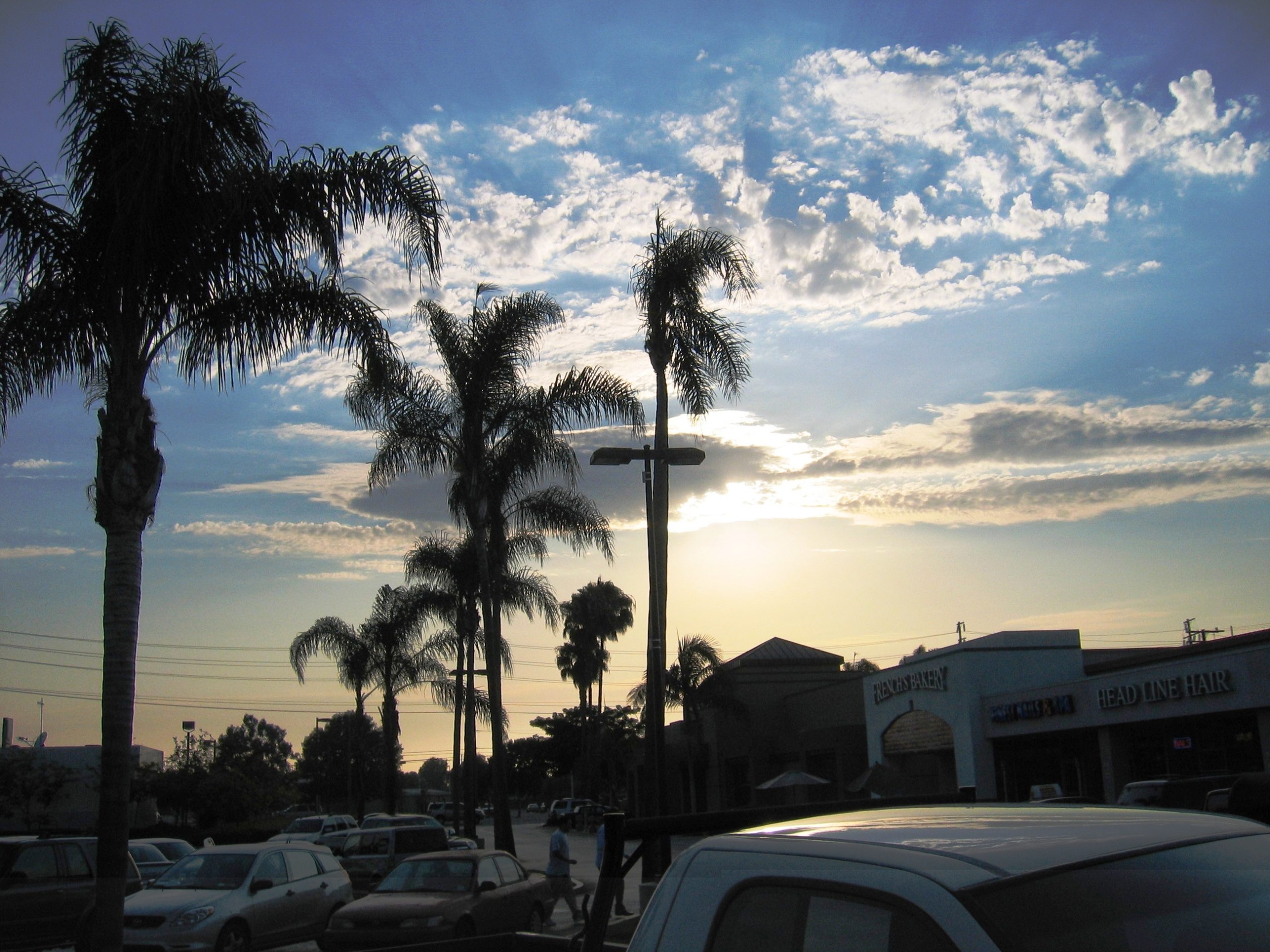 夏季休業日のお知らせ | anecca